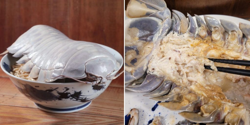 Taipei Restaurant Serves Ramen With 14-Legged Isopod, It Apparently ...