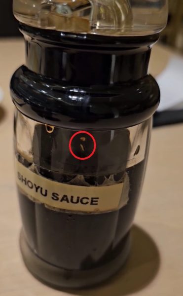 Maggots Found In Soy Sauce At M'sia Sushi Restaurant, Customer Gets ...