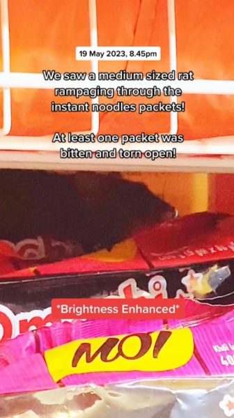 Diner Spots 'Medium-Sized' Rat Chewing Instant Noodles At Ang Mo Kio ...