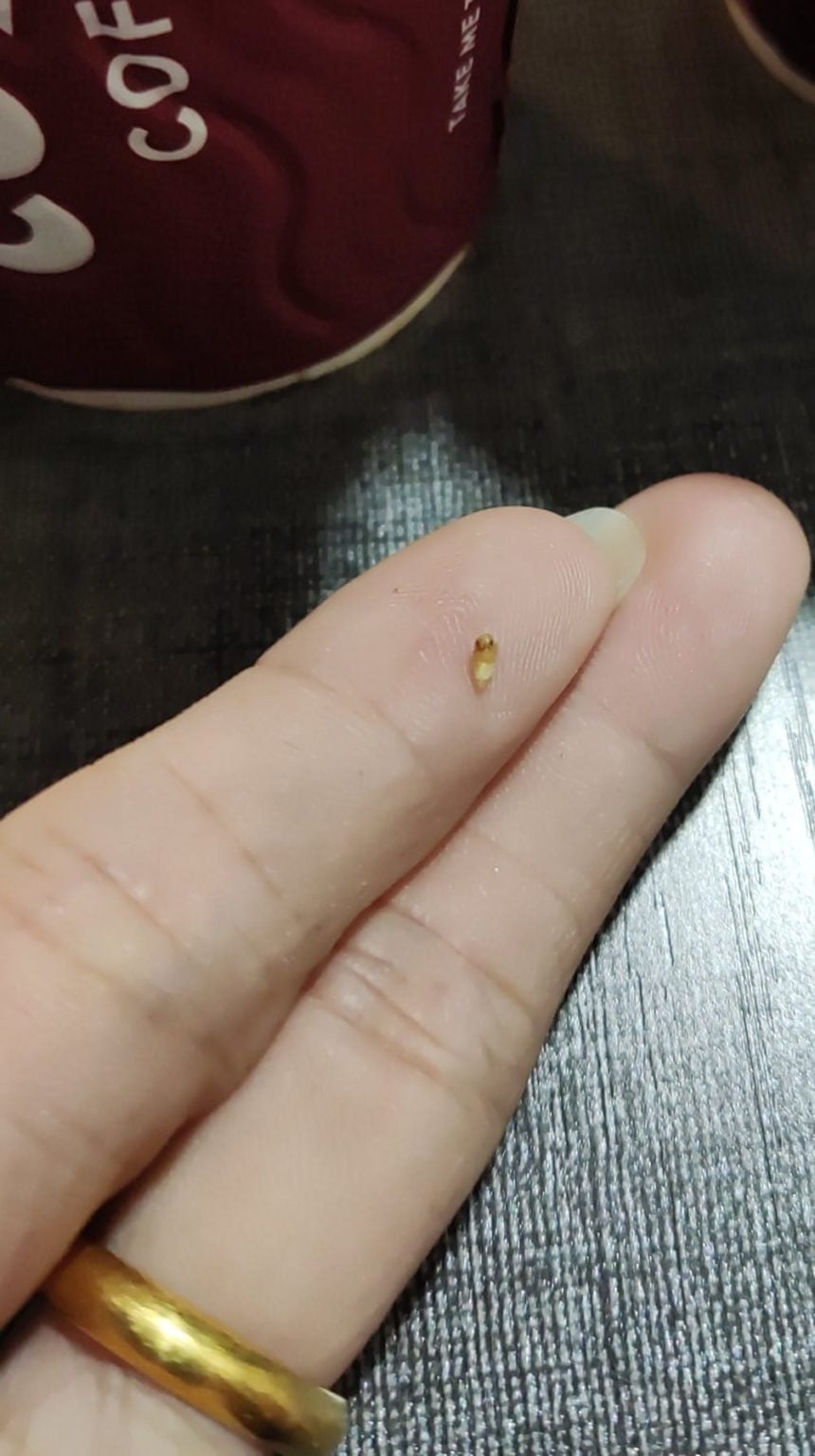 Subway Customer Allegedly Finds Maggots In Hot Chocolate From Bedok ...