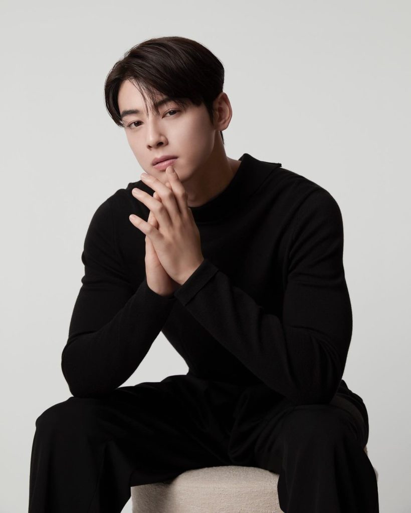 ASTRO's Cha Eun-Woo Will Be At ION Orchard & Tanjong Beach Club For ...