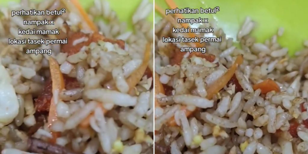 Maggots Found Crawling In Fried Rice Dish Allegedly Bought From Famous ...