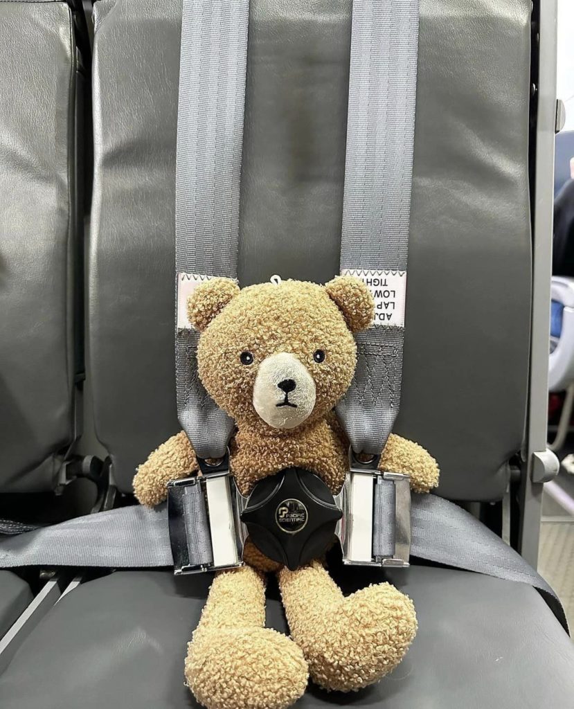 Toddler Loses Teddy Bear On Virgin Australia Flight, Airline ...