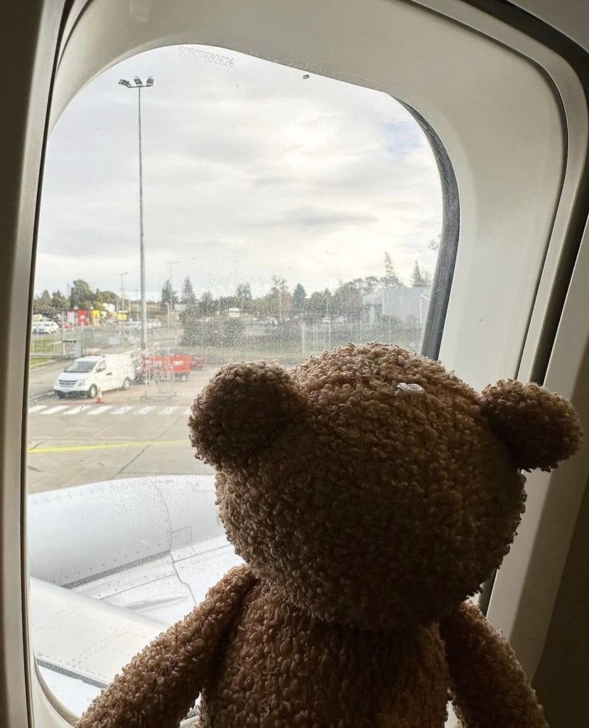 Toddler Loses Teddy Bear On Virgin Australia Flight, Airline ...