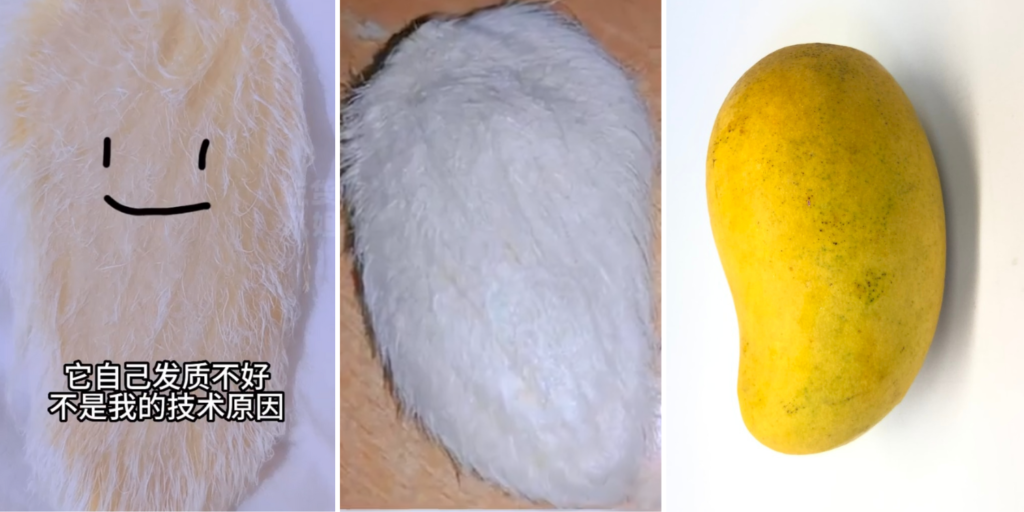 Mango Pits Become Pets In New Chinese Trend, Owners Groom Them With ...