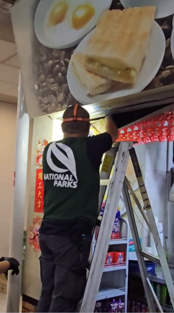 3-Metre-Long Python Slithers Into Beach Road Coffee Shop Signboard ...