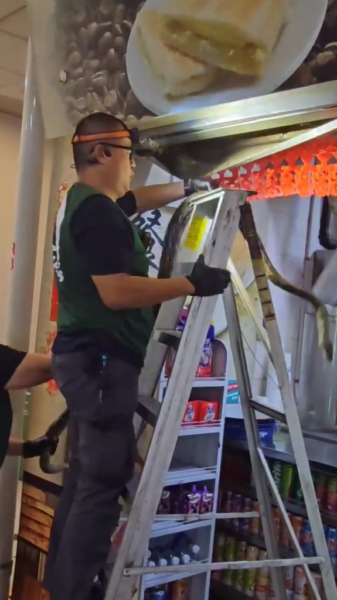 3-Metre-Long Python Slithers Into Beach Road Coffee Shop Signboard ...