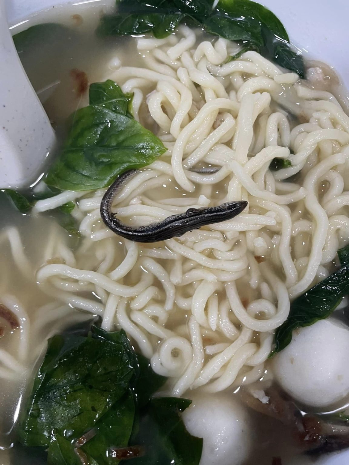 Woman Finds Lizard-Like Creature In Noodles, Johor Eatery Offers To ...
