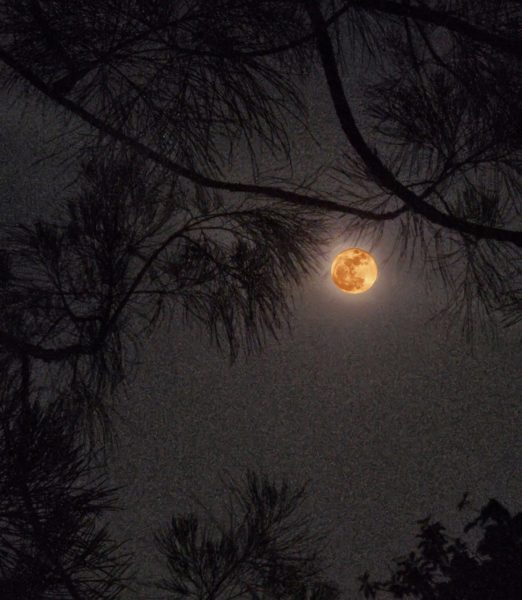 Super Blue Moon Spotted All Over S’pore On 31 Aug, Next One To Occur In ...