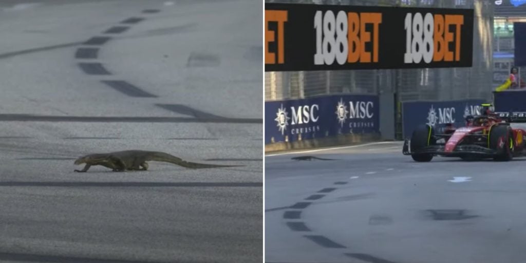 Monitor Lizard Spotted Crawling On F1 S'pore Track During Practice ...