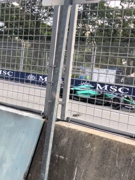 Monitor Lizard Spotted Crawling On F1 S'pore Track During Practice ...