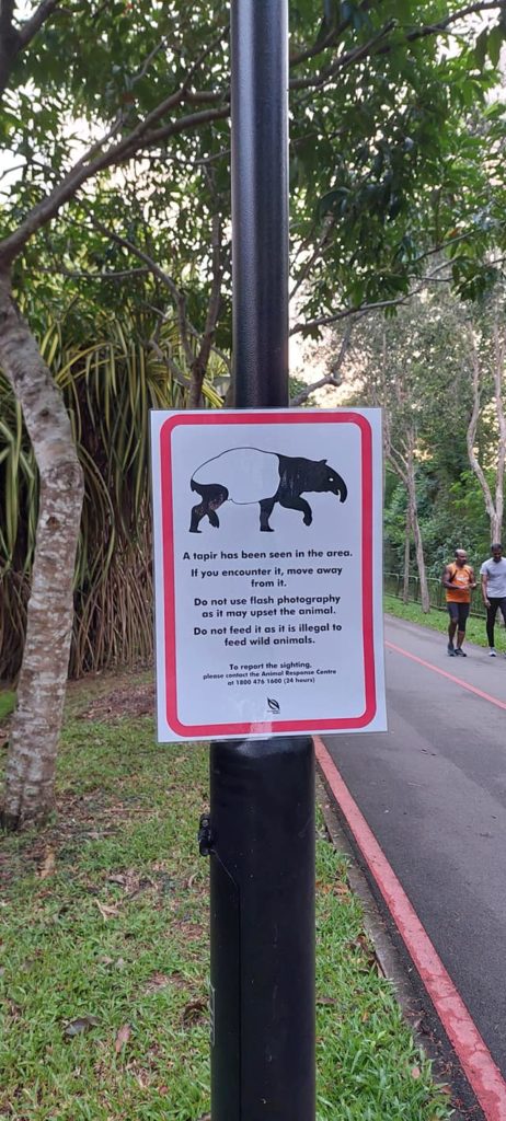 Tapir Sighting Sign Spotted Along Punggol Park Connector, Public ...