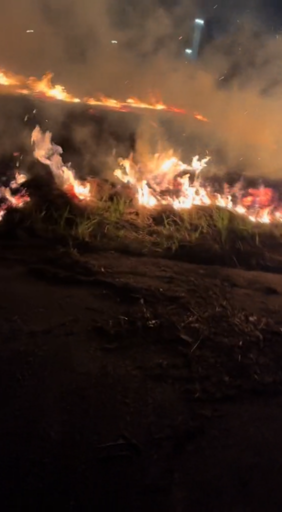 Fire Erupts At Lim Chu Kang Chinese Cemetery On 15 Oct, Blaze Involves ...