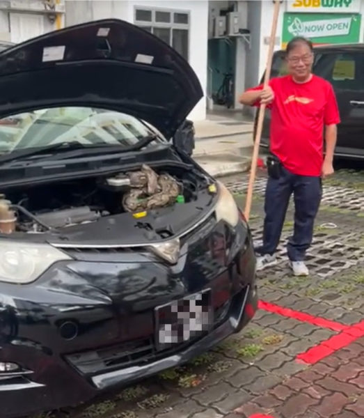 Python Found Inside Car At Marine Parade, Gets Caught By Residents