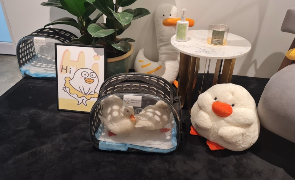 Café In Ipoh Lets You Cuddle With Fluffy Ducks Over Coffee & Breakfast