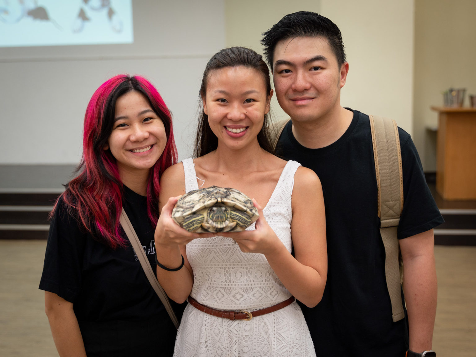 Kovan Church Holds Pet Blessing Ceremony, Owners Bring Beloved Dogs ...