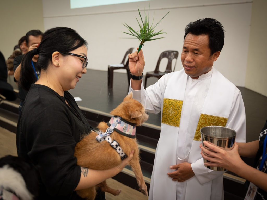 Kovan Church Holds Pet Blessing Ceremony, Owners Bring Beloved Dogs ...