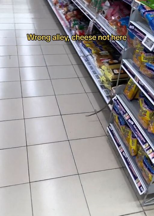 Rat Spotted In Pasir Ris West Plaza FairPrice Bread Section ...