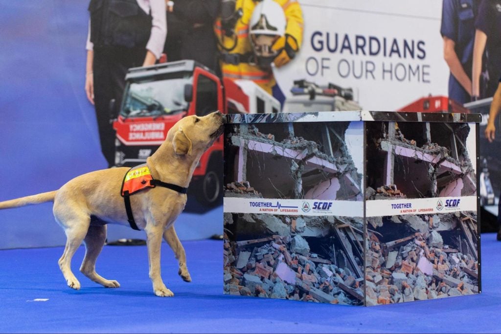 Home Team Festival Lets You Step Into The Shoes Of A CNB Or SCDF ...