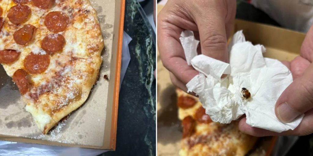 Cockroach Crawls From Pizza By Little Caesars Funan, Pizzeria ...