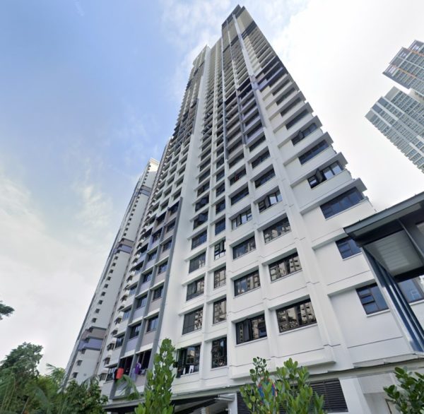 Mother & Baby Found Dead At Foot Of Ghim Moh HDB Block, Believed To ...