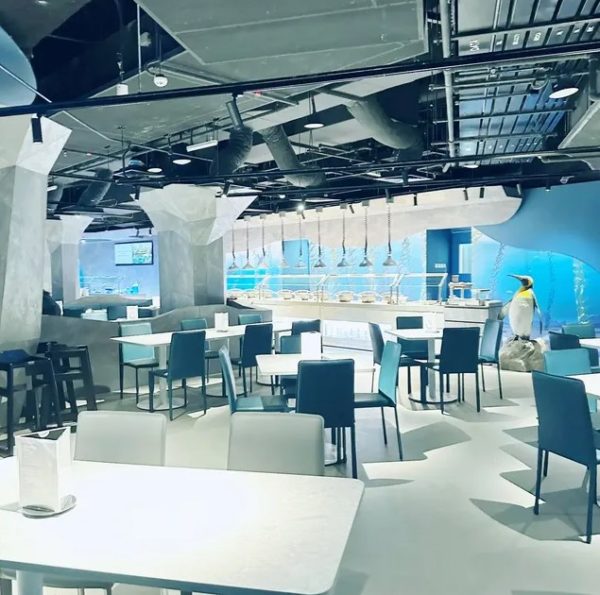 Penguin Cove At Bird Paradise Lets You Admire Penguins While Eating ...