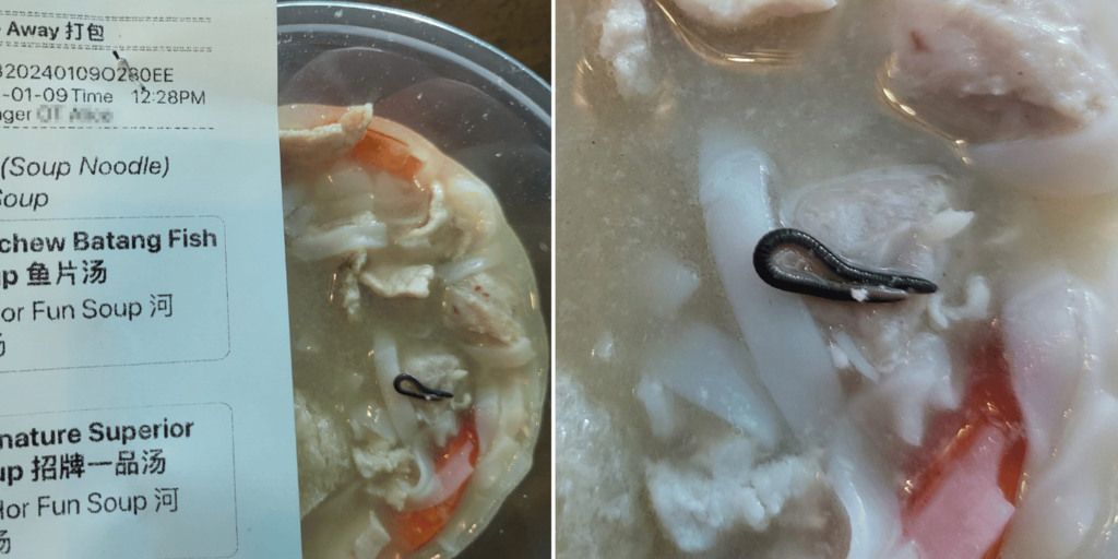 Customer Allegedly Finds Worm In Soup From Punggol Restaurant, SFA ...