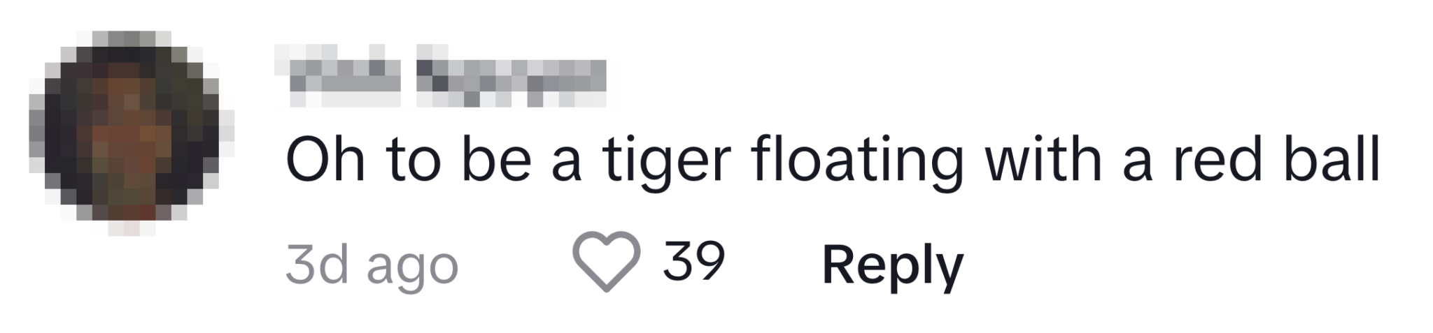 Tiger Floats With Favourite Red Ball At Thailand Wildlife Centre ...