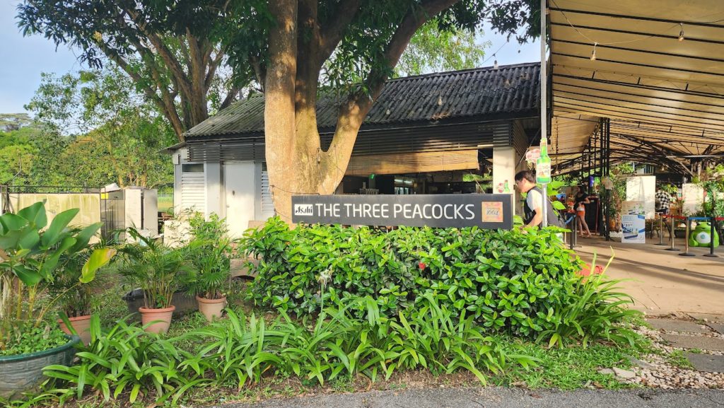 Three Peacocks Leaves Labrador Park After 7 Years, Offers Farewell ...