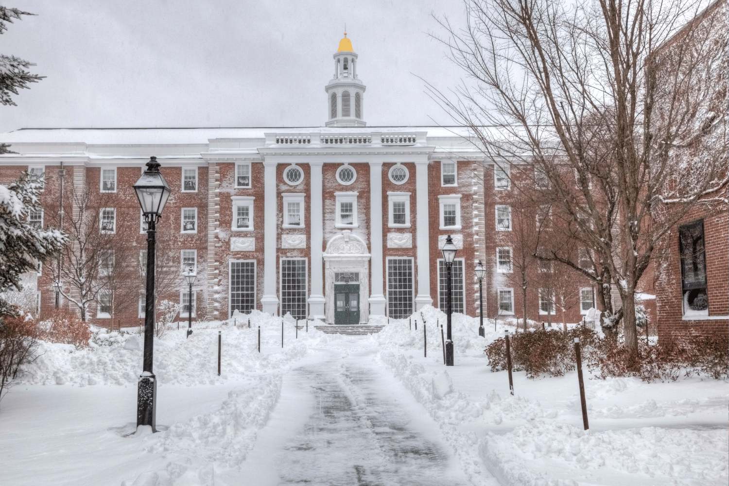 Li Shengwu announces tenure at Harvard University, Lee Hsien Yang has ...