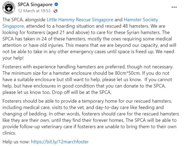 SPCA rescues 48 hamsters from hoarding situation, is looking for fosterers