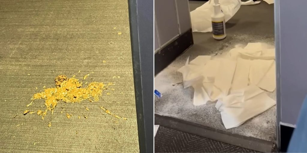 Dog poops in first-class cabin of US domestic flight, causes plane to ...