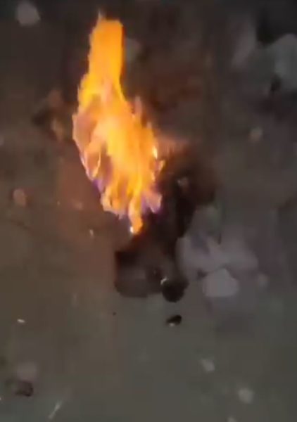 'Dastardly & cruel': Dog left to burn after boy in M'sia allegedly sets ...