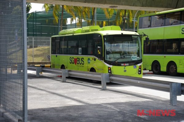 5 facts about S'pore's public minibus Service 825 that's rarely spotted ...