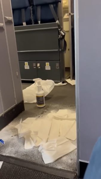 Dog poops in first-class cabin of US domestic flight, causes plane to ...