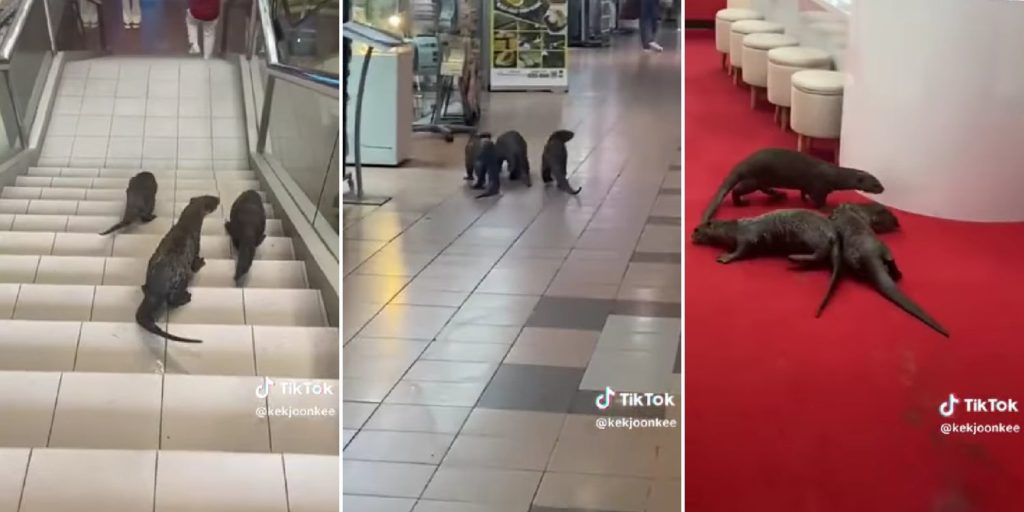 Singapore Archives - Page 4 of 1925 - Must Share News - Independent ...