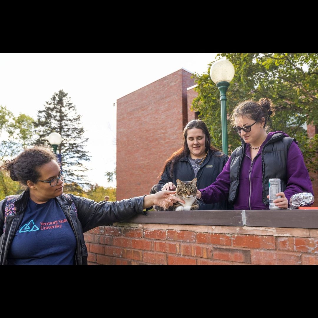 Max the Cat will receive a doctorate from US university after regular ...