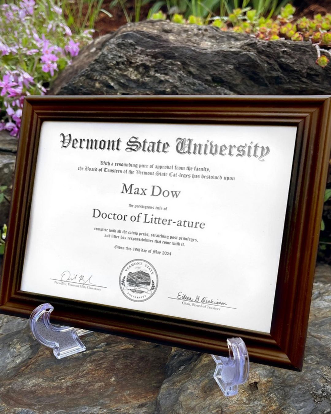 Max the Cat will receive a doctorate from US university after regular ...