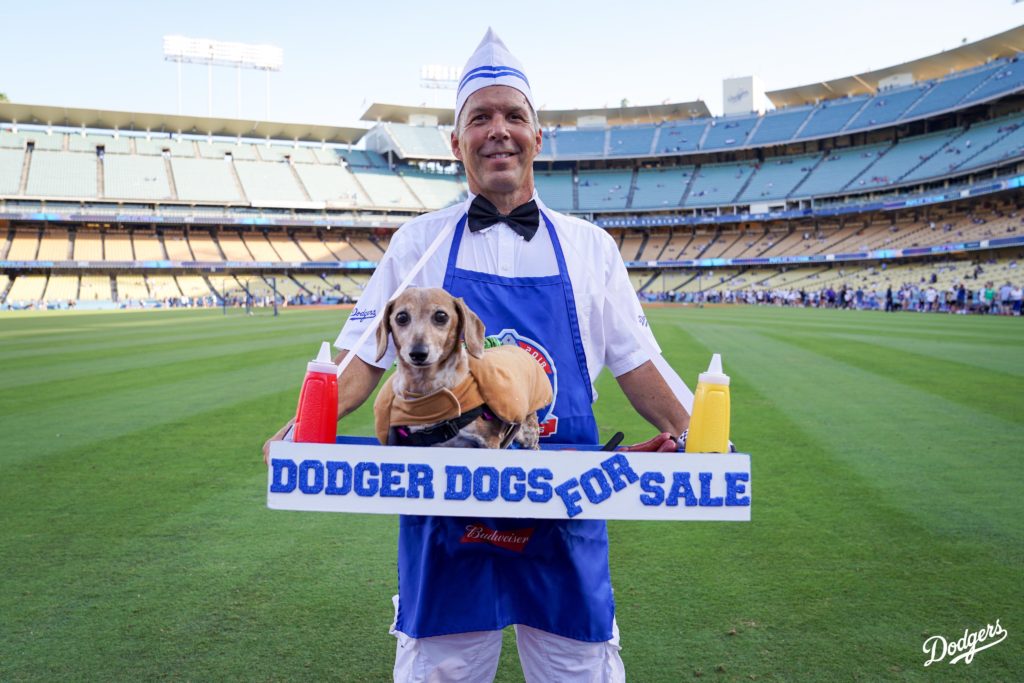 'Who let the dogs out': US baseball fans pack stadium with their fluffy ...