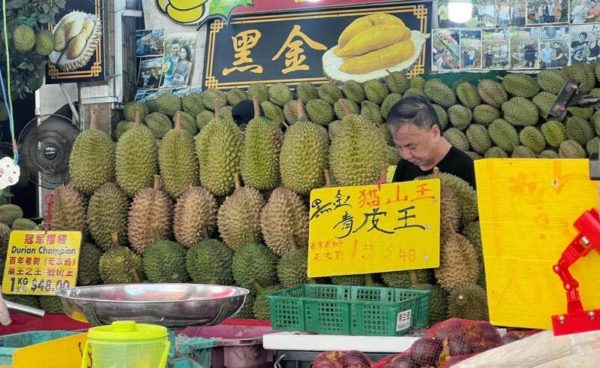 Durians are fetching high prices in Singapore for some varieties