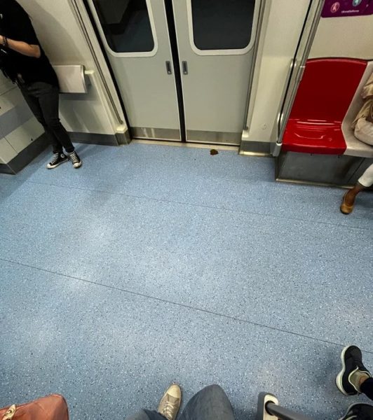 Woman allegedly finds poop in Thomson-East Coast MRT cabin, claims it’s ...