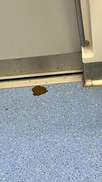 Woman allegedly finds poop in Thomson-East Coast MRT cabin, claims it’s ...