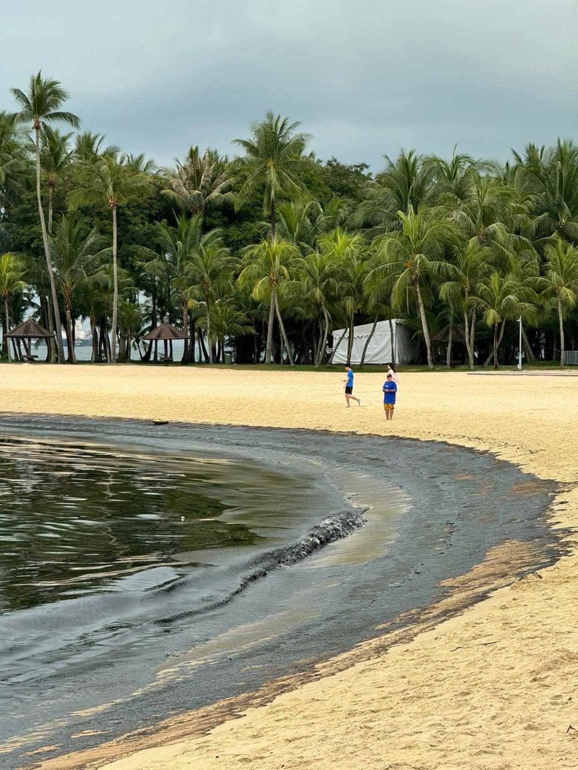 Sentosa beaches closed due to oil spill, clean-up operations underway