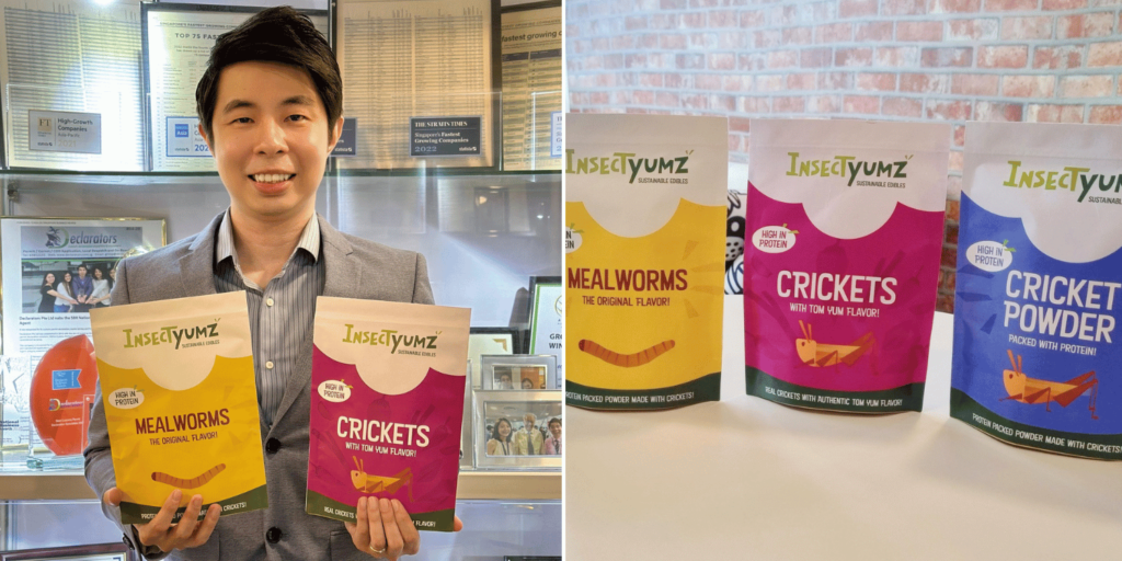 S'pore company offers tom yum cricket & mealworm snacks following SFA ...
