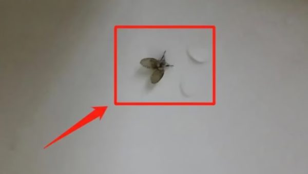Man in China loses eye to infection after swatting a fly that landed on ...