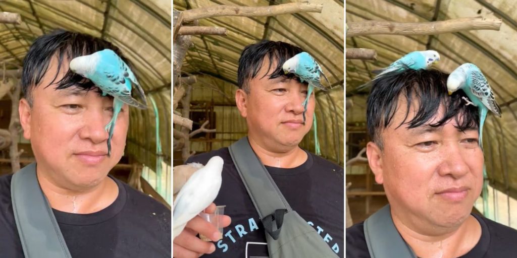 'I feel like trees have fun every day': Man in Japan reflects on ...