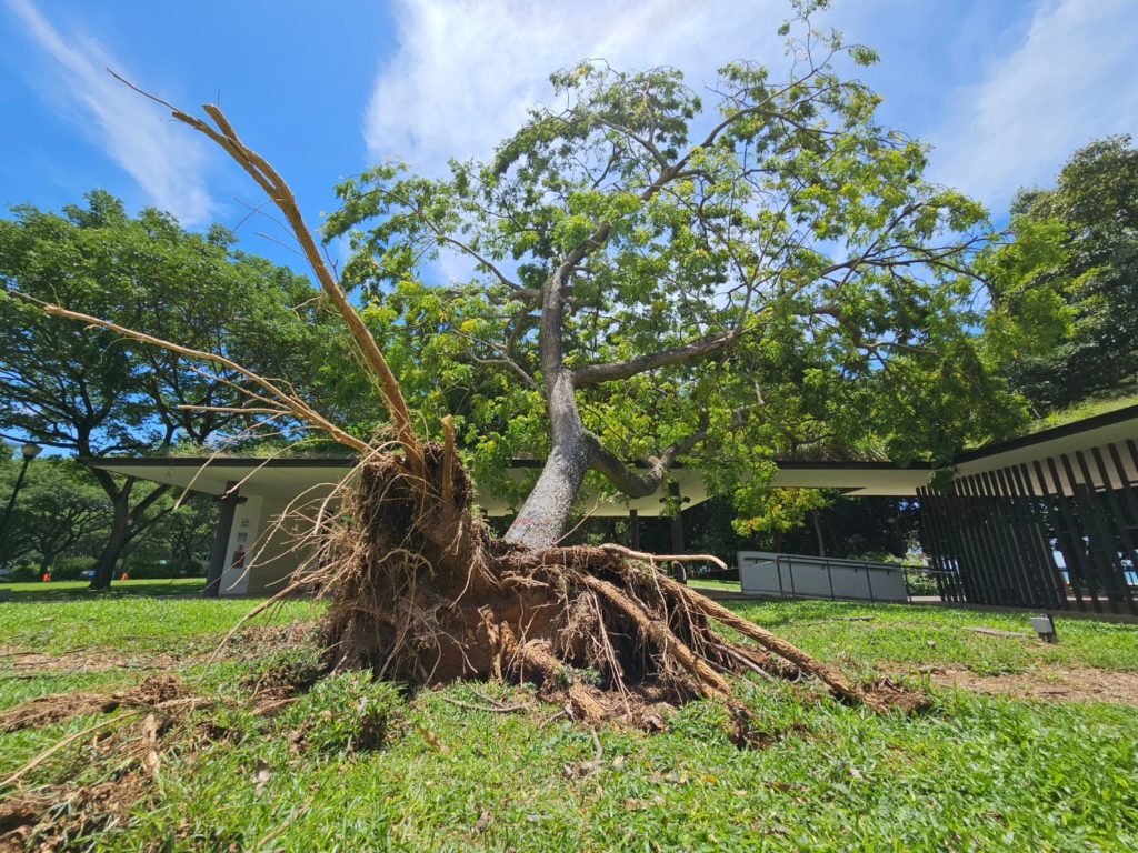 What caused the sudden severe storm in S'pore on 17 Sept & is this ...