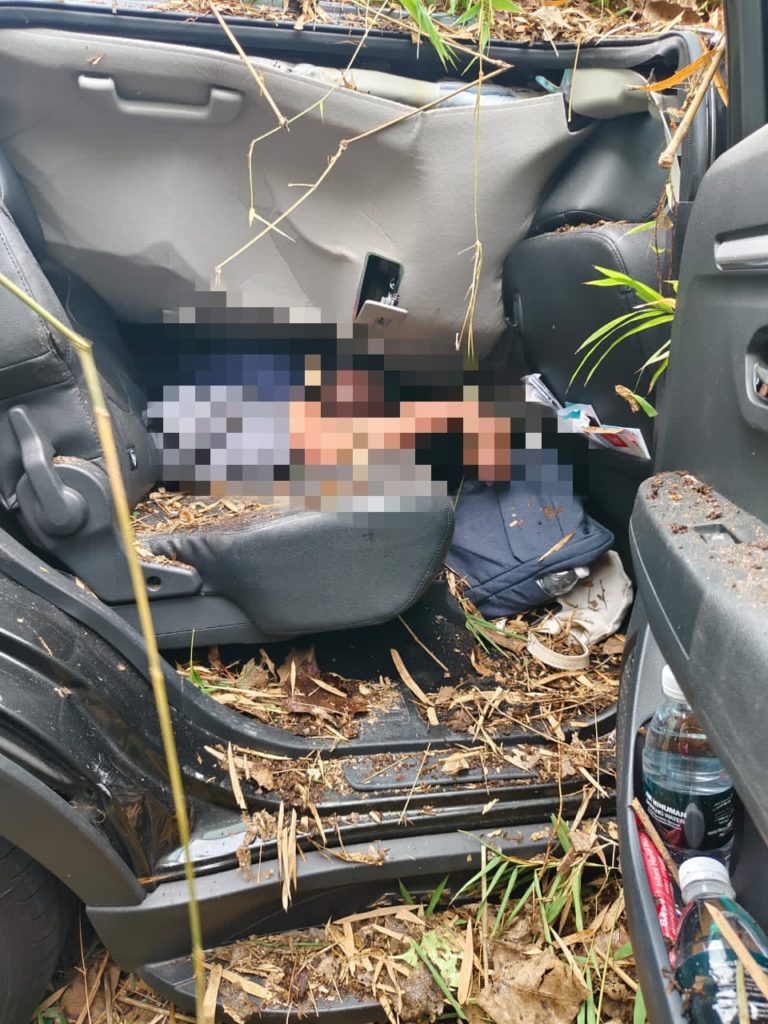 Father & daughter visiting Penang killed when tree falls on their car ...