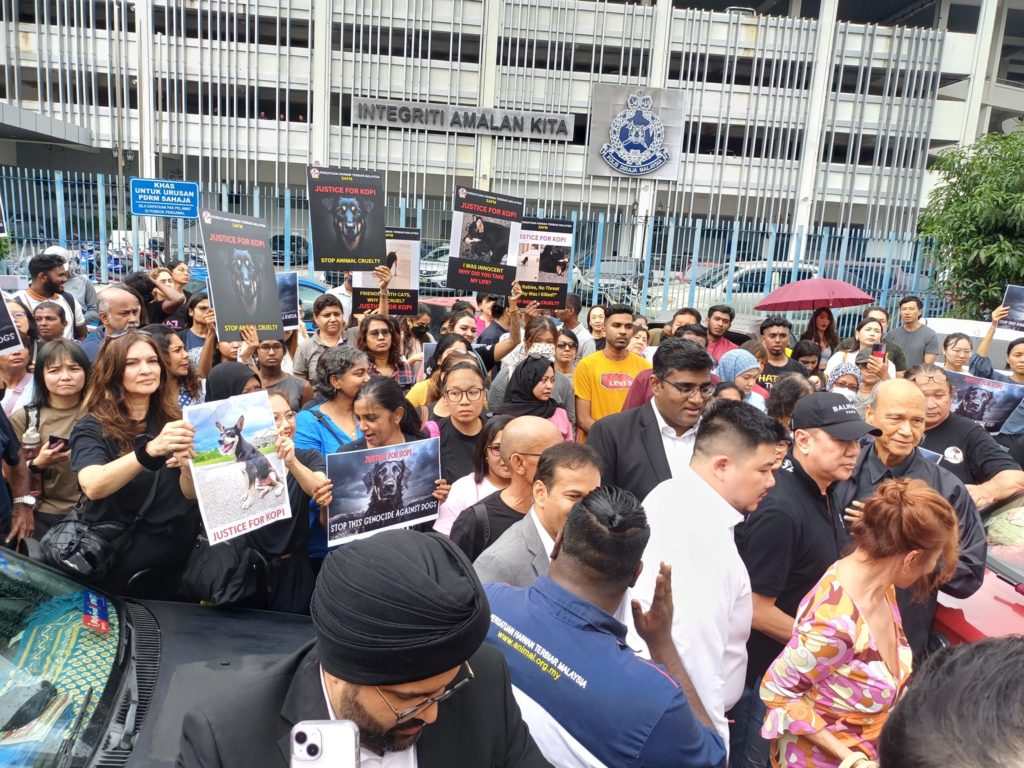 M'sia community dog shot dead, animal rights group to sue district council