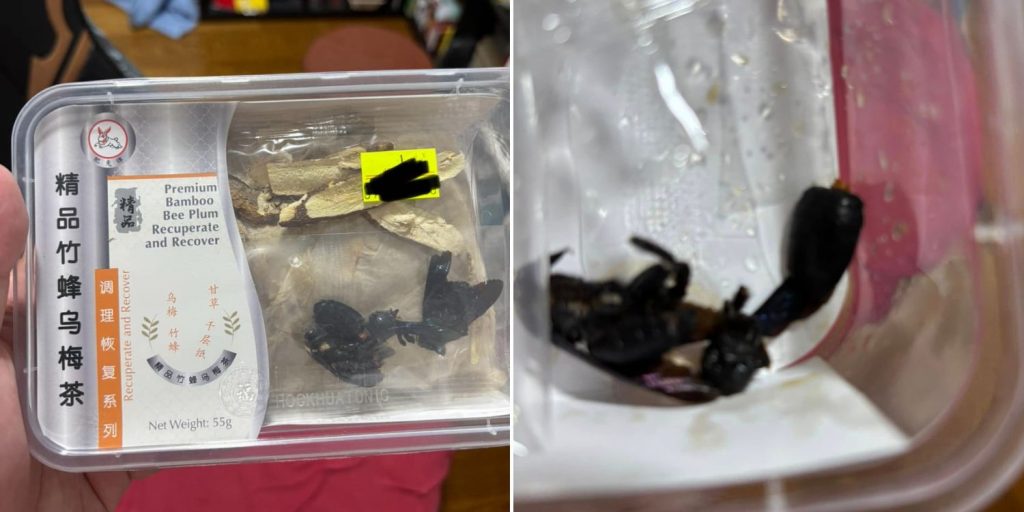 Customer in S'pore buys bamboo bee plum from tonic store, surprised to ...